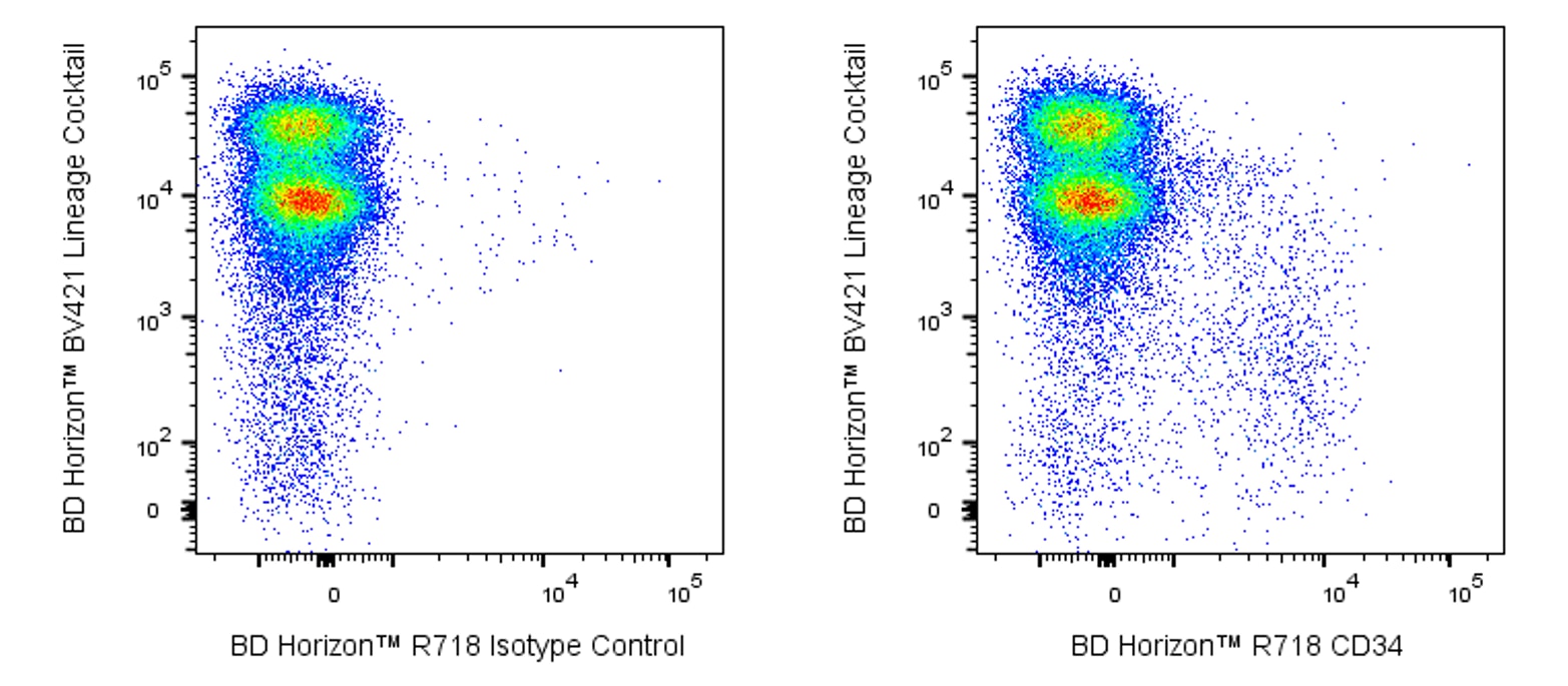 R718 Rat Anti-Mouse CD34
