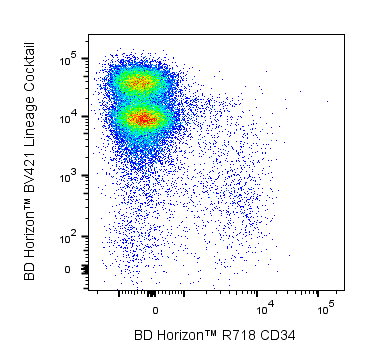 R718 Rat Anti-Mouse CD34