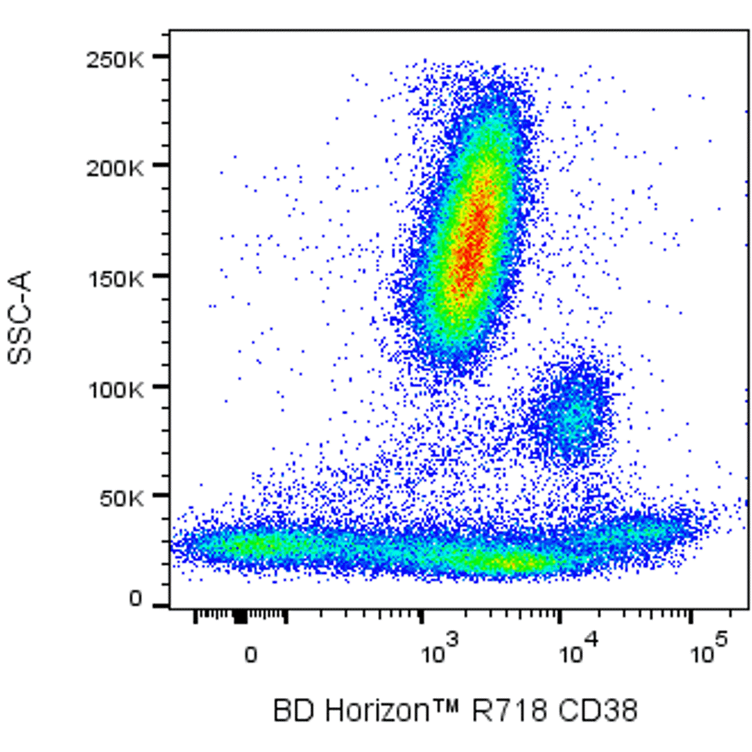 BD R718 Mouse Anti-Human CD38 | 캐시바이