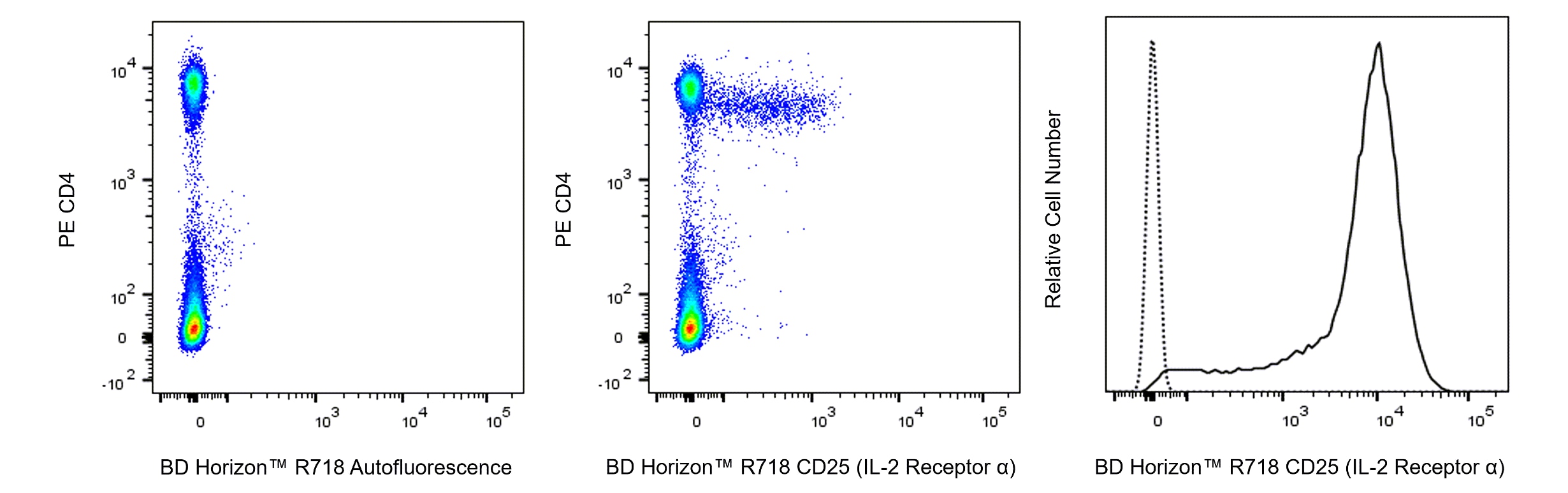 R718 Rat Anti-Mouse CD25 (IL-2 Receptor α)