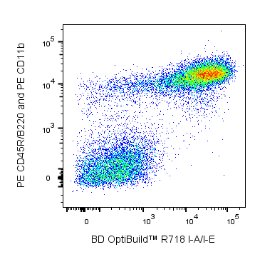 R718 Rat Anti-Mouse I-A/I-E