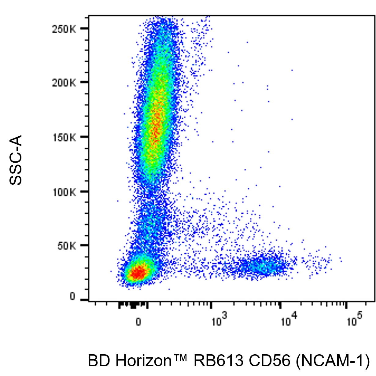 BD RB613 Mouse Anti-Human CD56 (NCAM-1) | 캐시바이