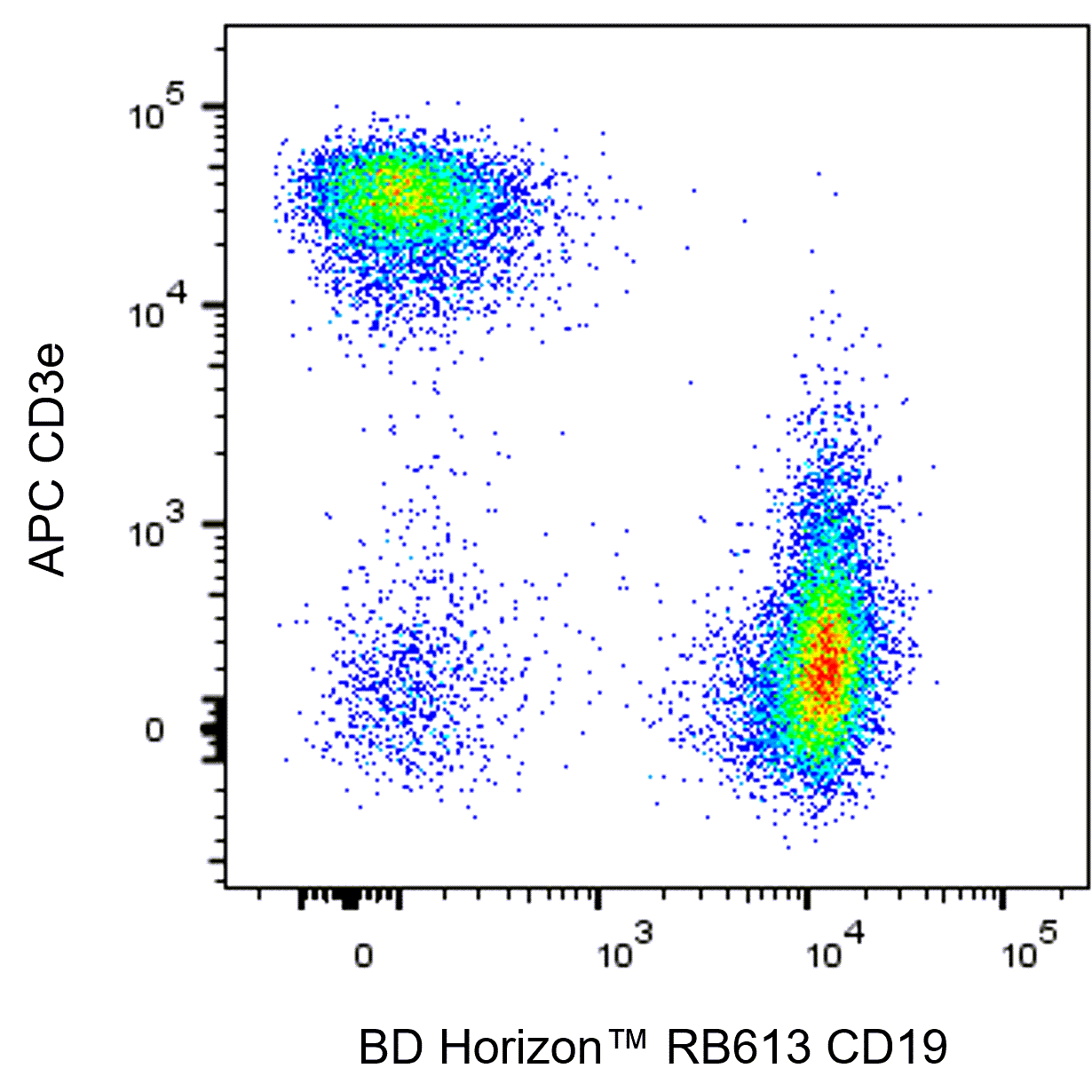 RB613 Rat Anti-Mouse CD19