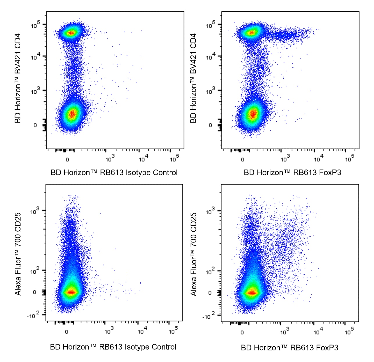 RB613 Mouse Anti-Human FoxP3