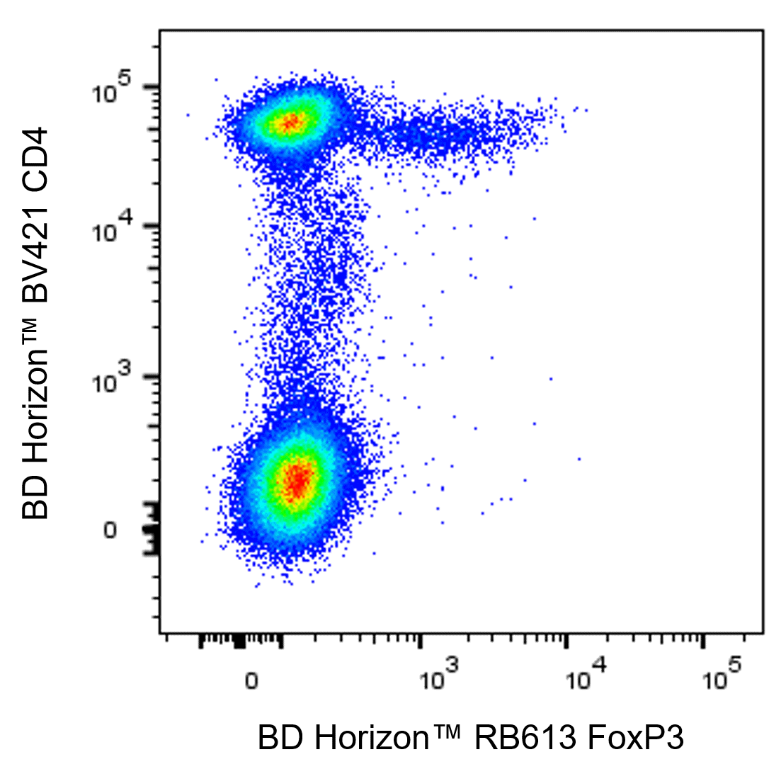 RB613 Mouse Anti-Human FoxP3