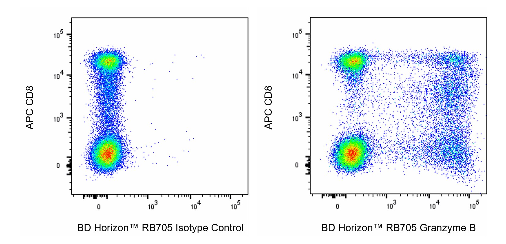 RB705 Mouse Anti-Human Granzyme B