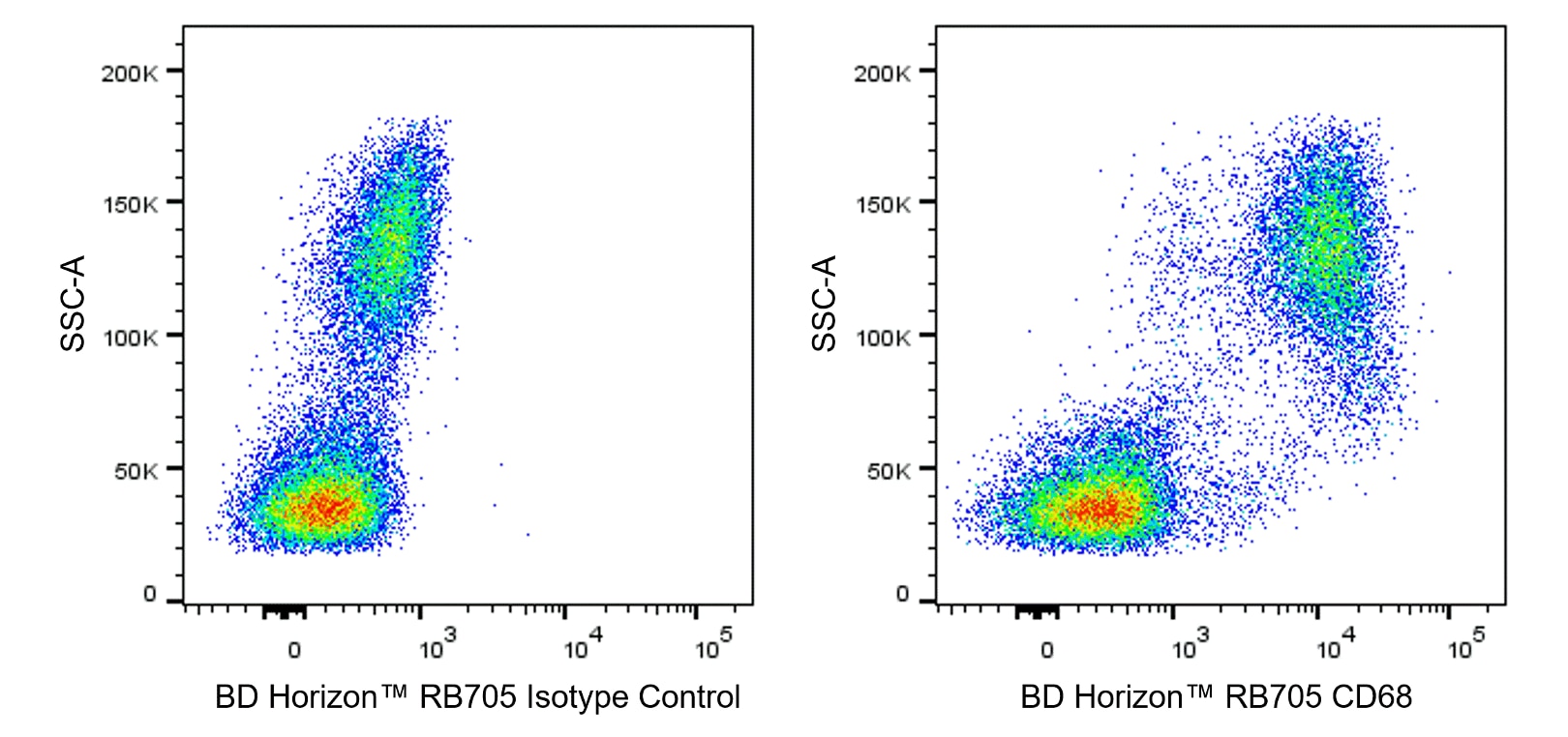 RB705 Mouse Anti-Human CD68