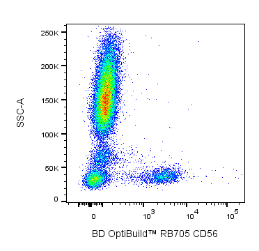 RB705 Mouse Anti-Human CD56