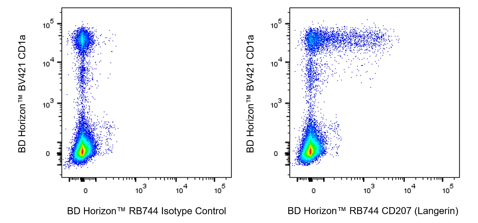 RB744 Mouse Anti-Human CD207 (Langerin)