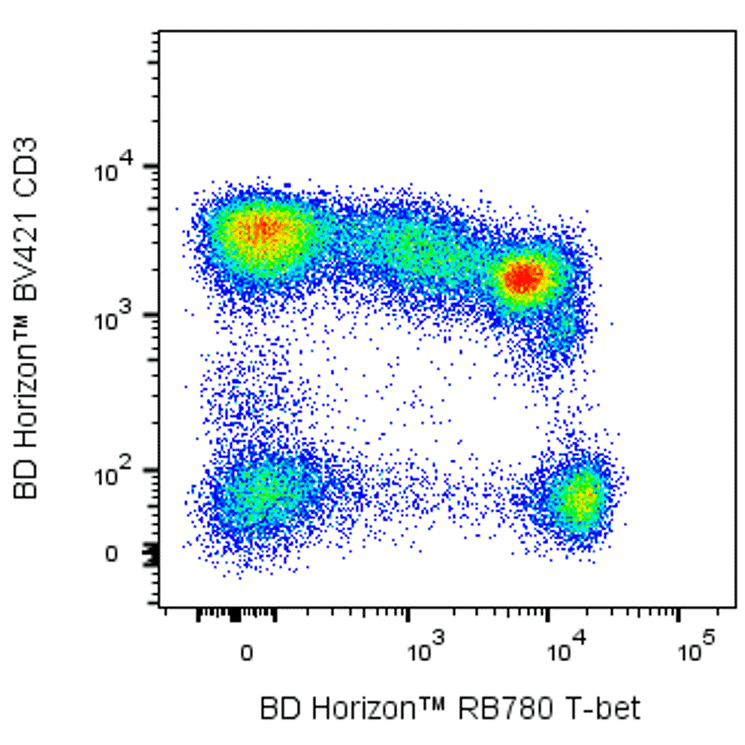 RB780 Mouse Anti-T-bet