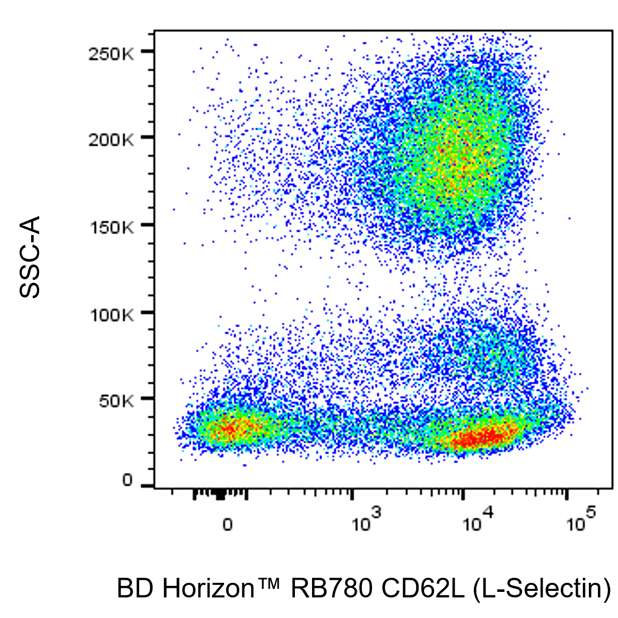 BD RB780 Mouse Anti-Human CD62L (L-Selectin) | 캐시바이