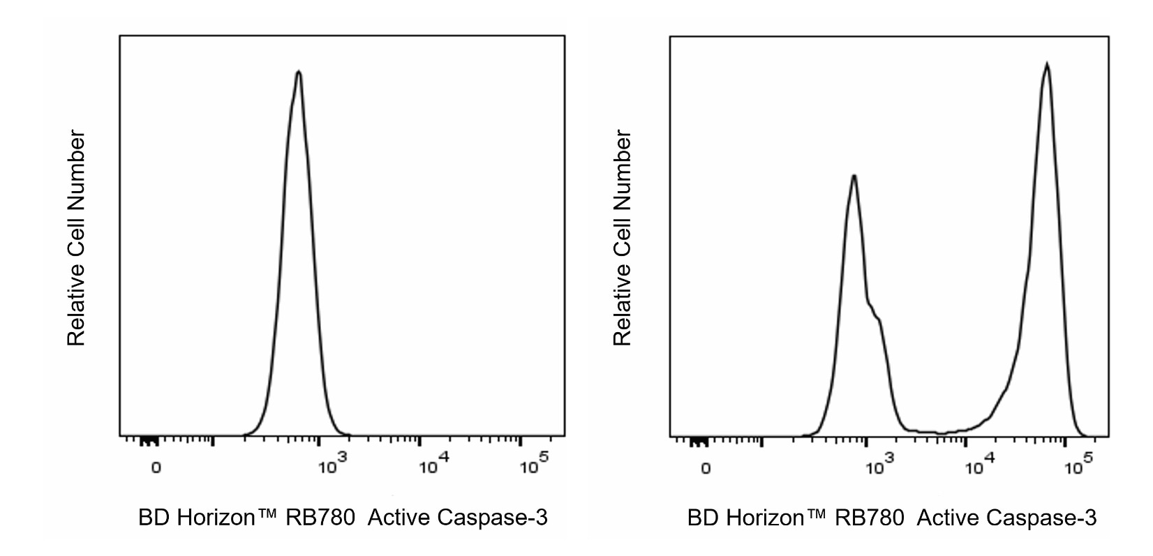 RB780 Rabbit Anti-Active Caspase-3