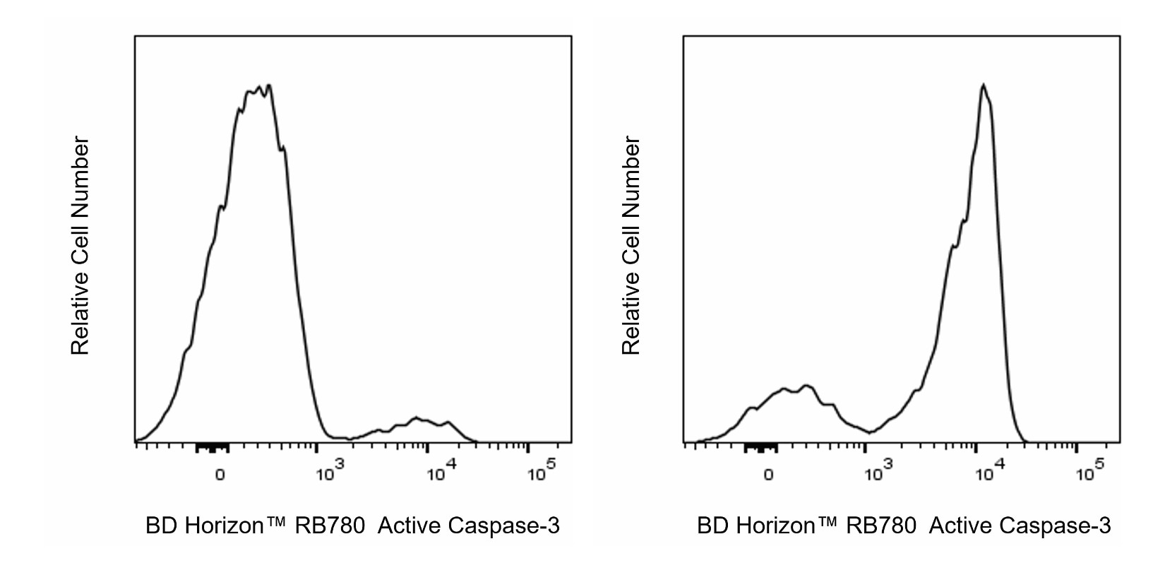 RB780 Rabbit Anti-Active Caspase-3