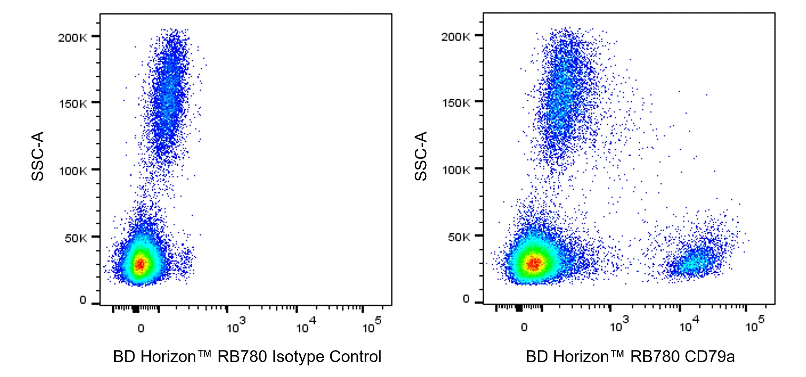 RB780 Mouse Anti-Human CD79a