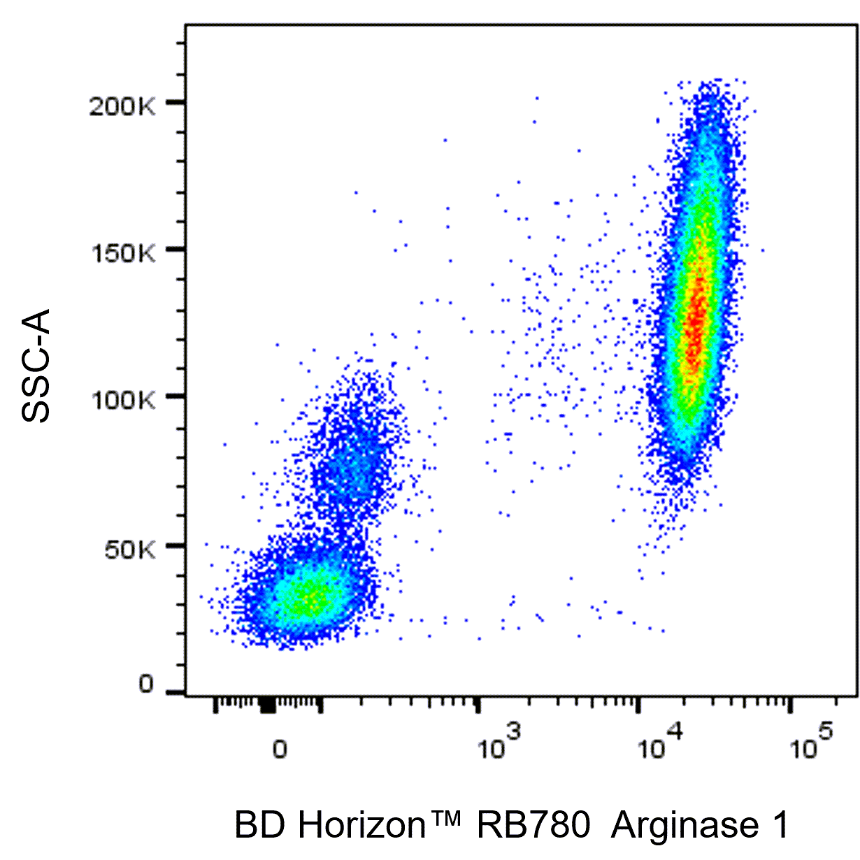 RB780 Mouse Anti-Human Arginase 1