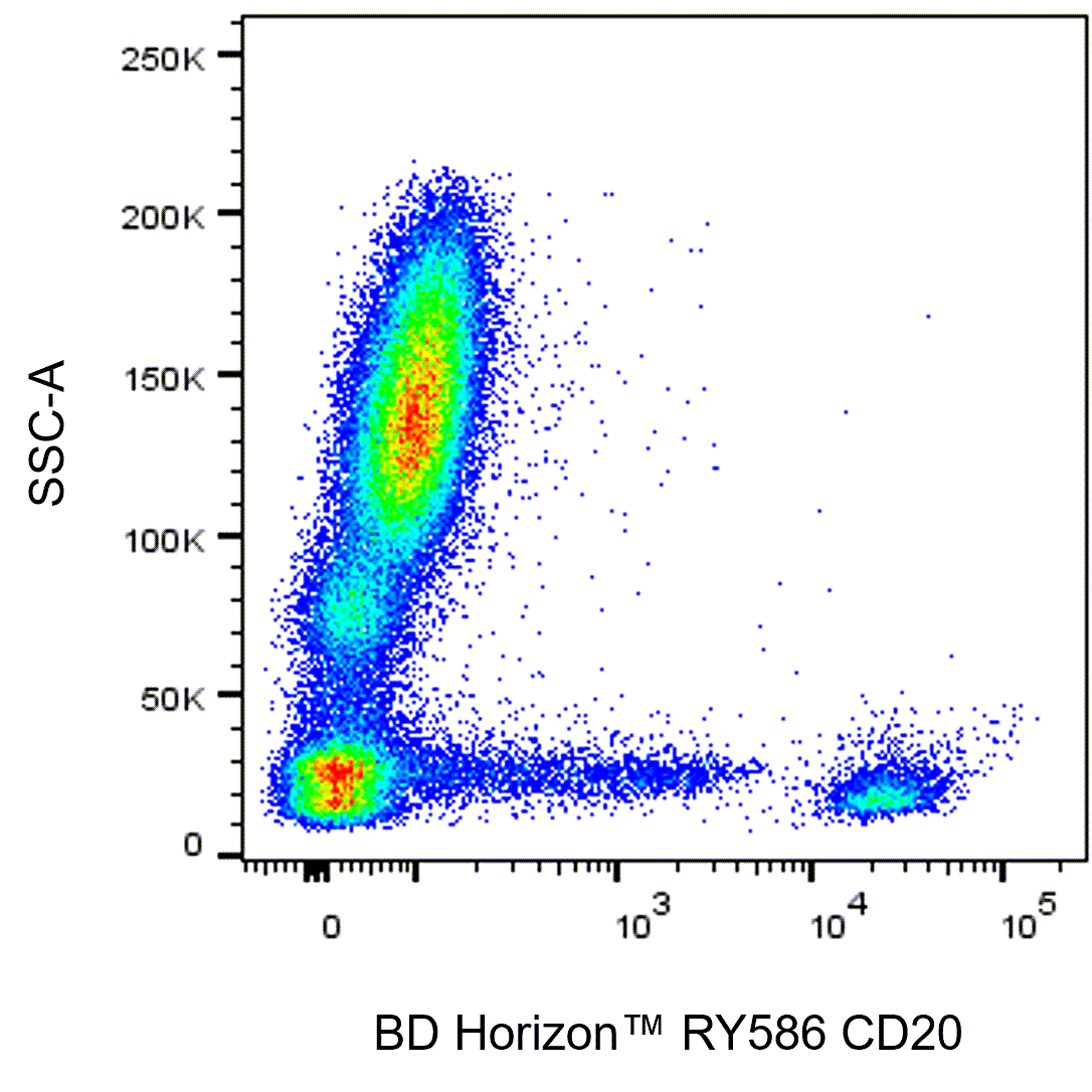 RY586 Mouse Anti-Human CD20