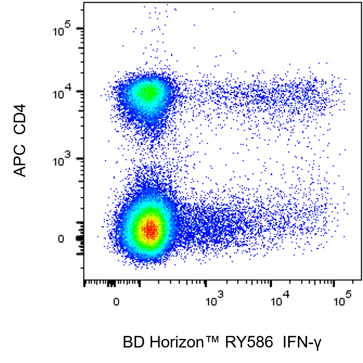 RY586 Rat Anti-Mouse IFN-γ