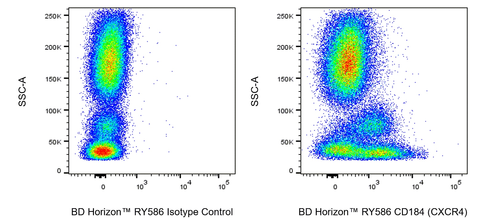RY586 Mouse Anti-Human CD184 (CXCR4)