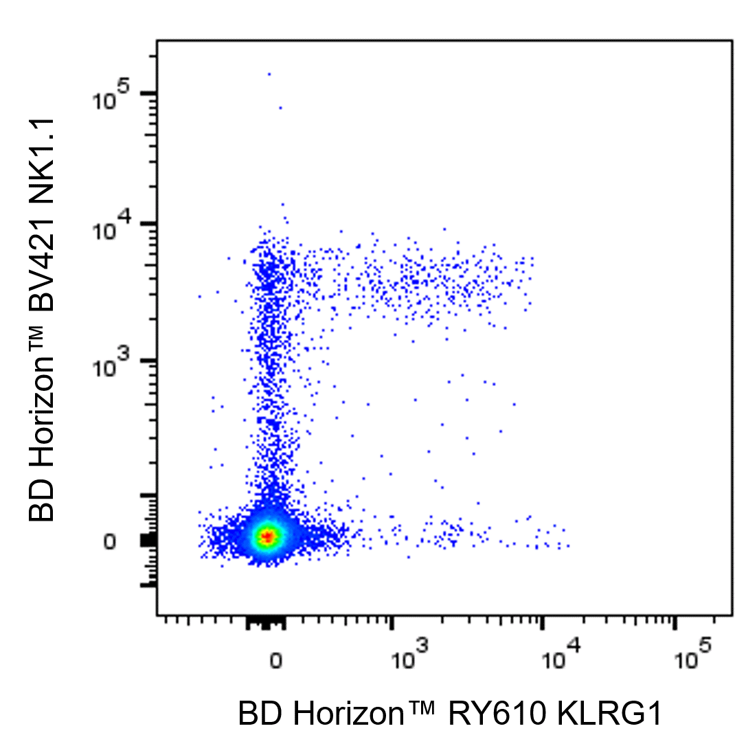 RY610 Hamster Anti-Mouse KLRG1
