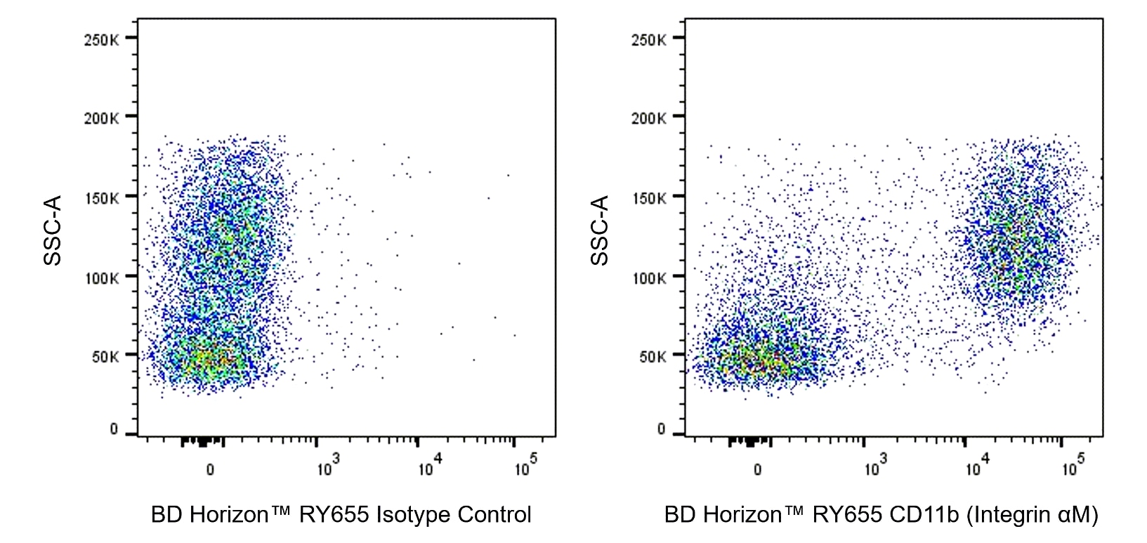 RY655 Rat Anti-CD11b (Integrin αM)