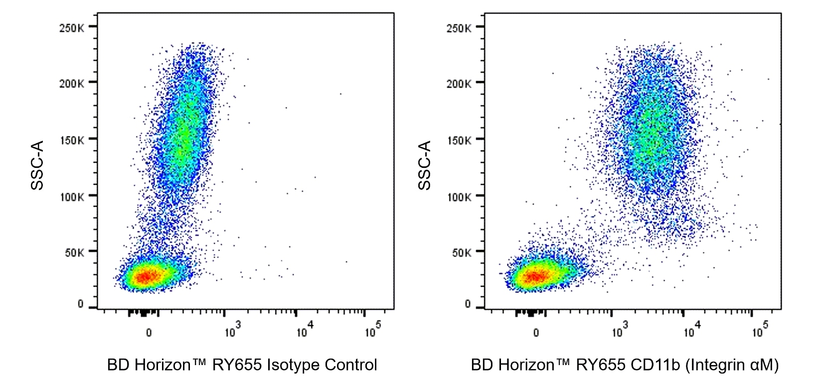 RY655 Rat Anti-CD11b (Integrin αM)