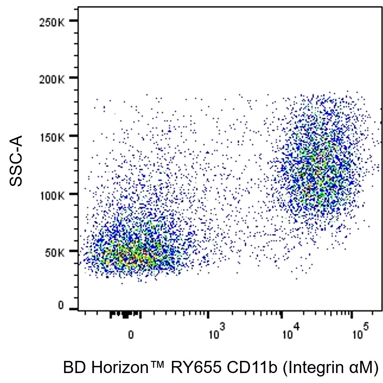 RY655 Rat Anti-CD11b (Integrin αM)