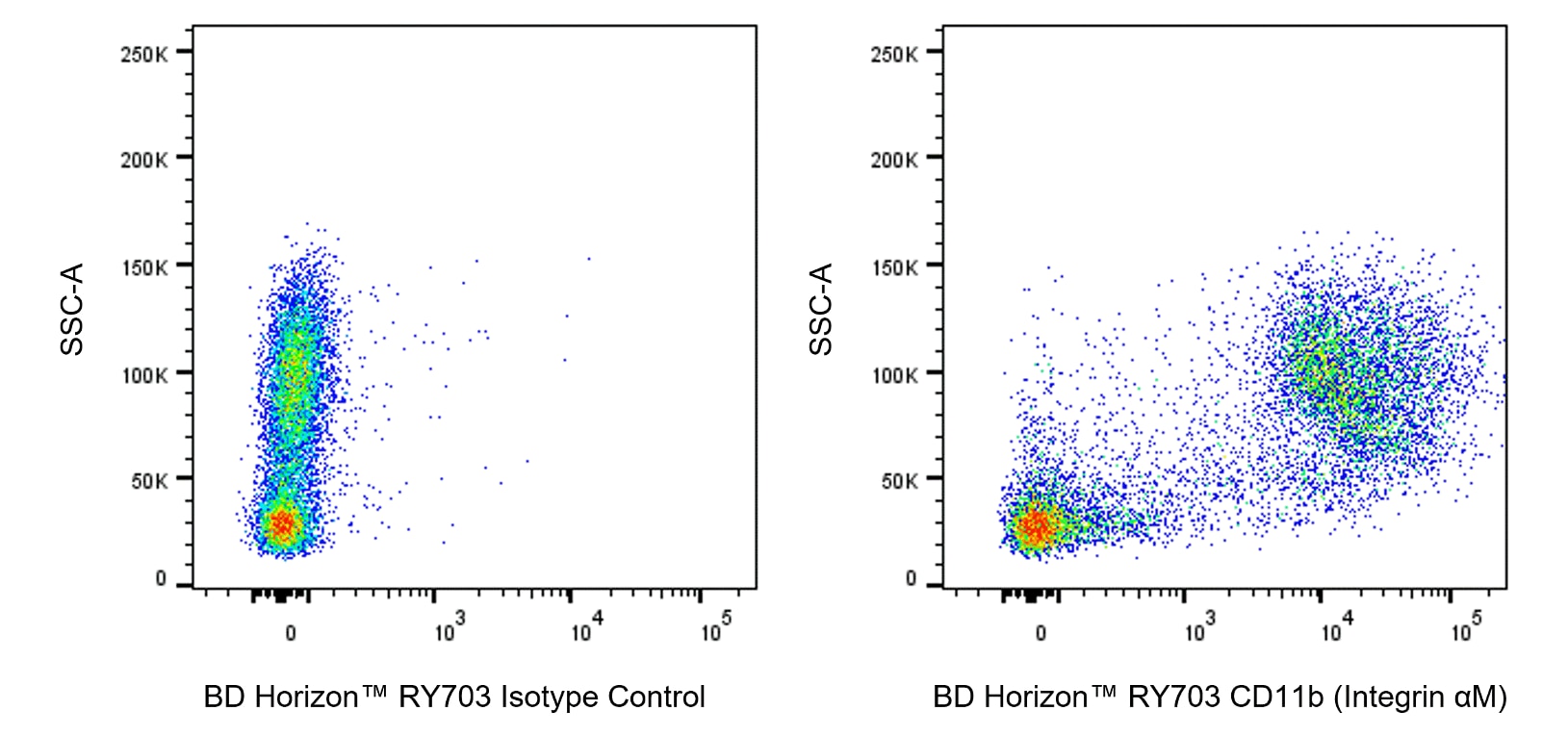 RY703 Rat Anti-CD11b (Integrin αM)