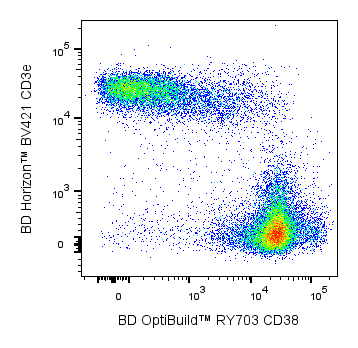 RY703 Rat Anti-Mouse CD38