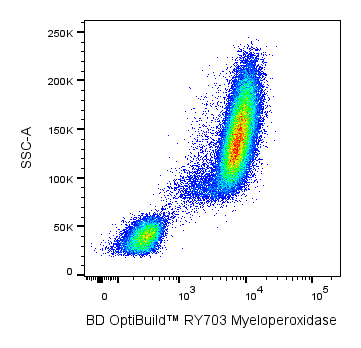 RY703 Mouse Anti-Human Myeloperoxidase