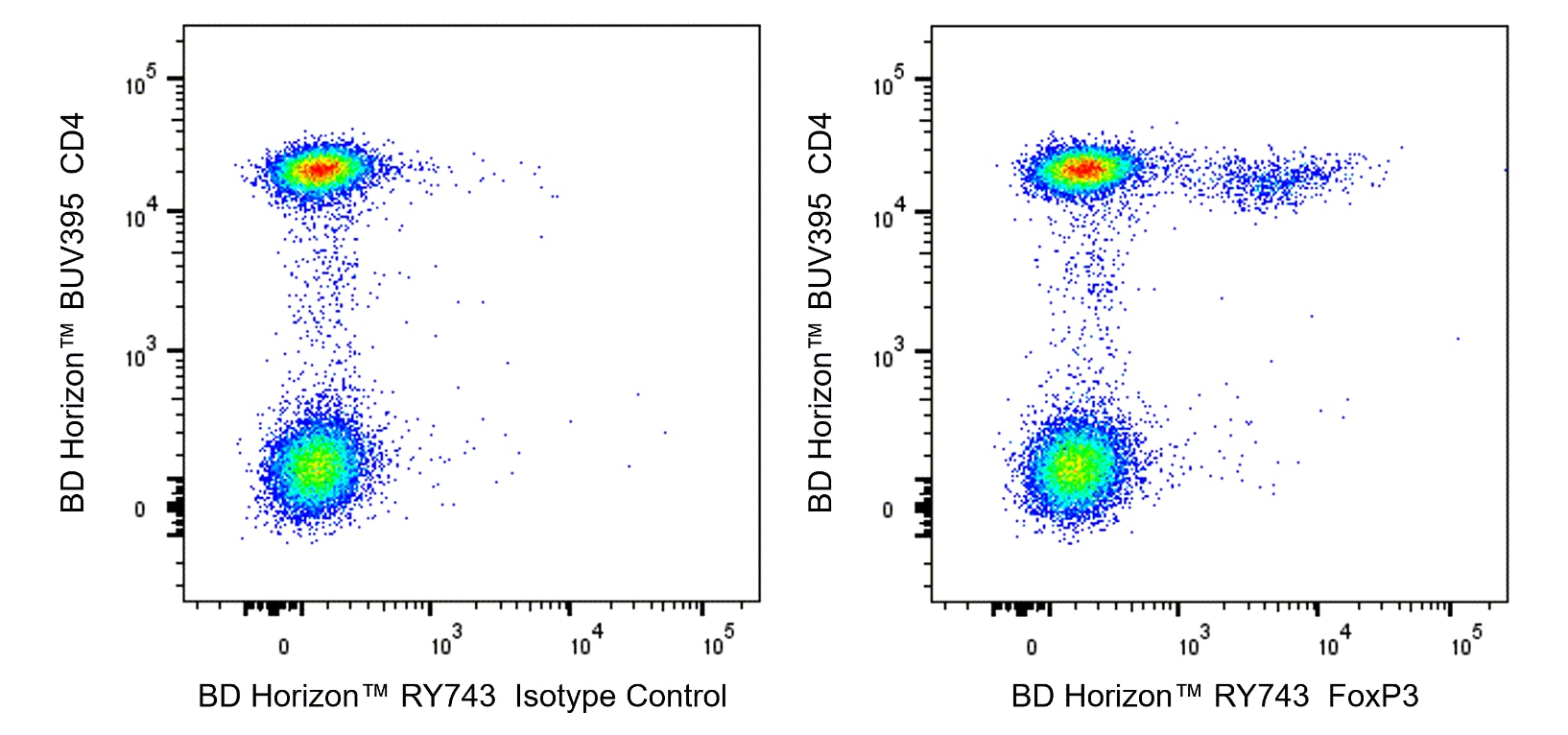 RY743 Mouse Anti-Human FoxP3