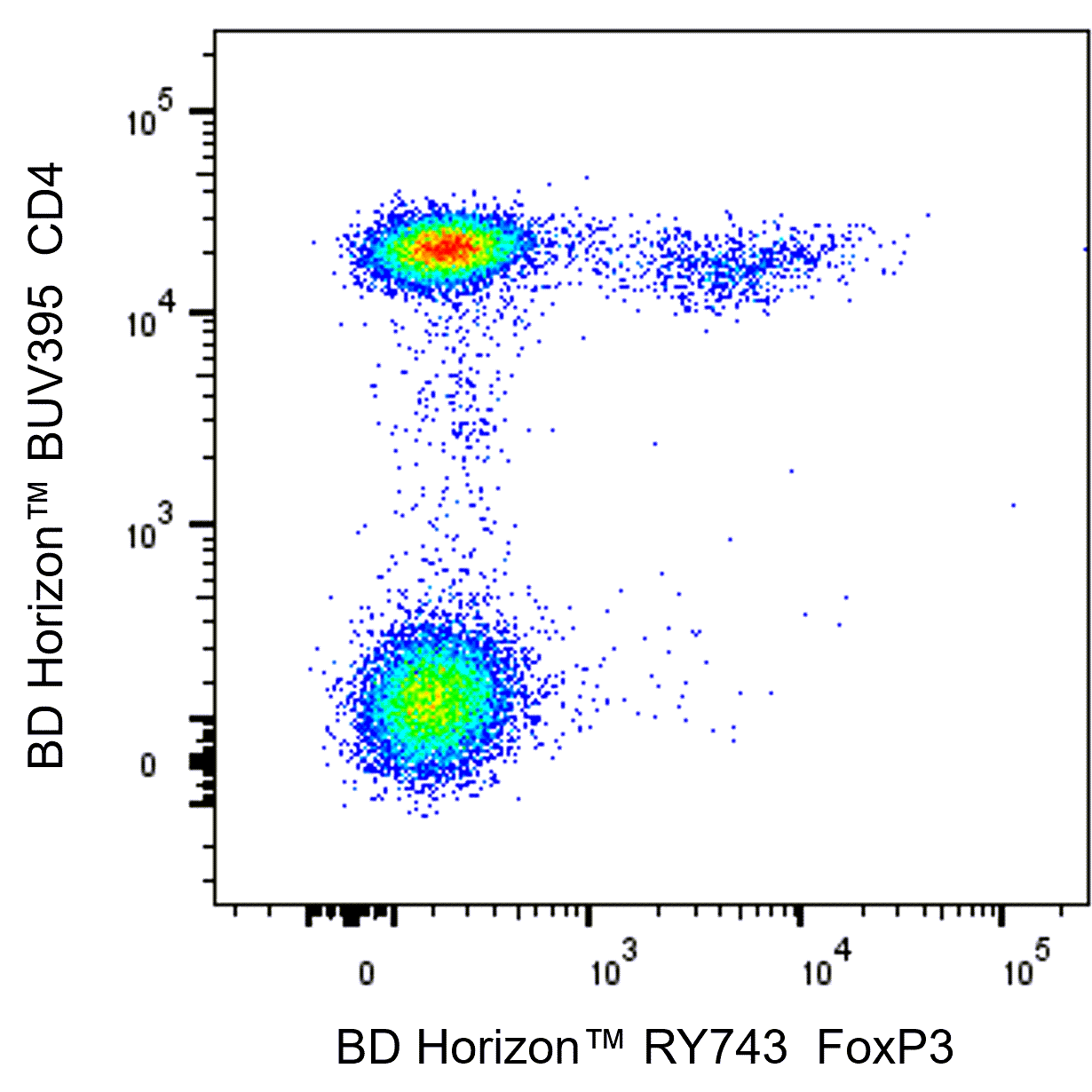 RY743 Mouse Anti-Human FoxP3