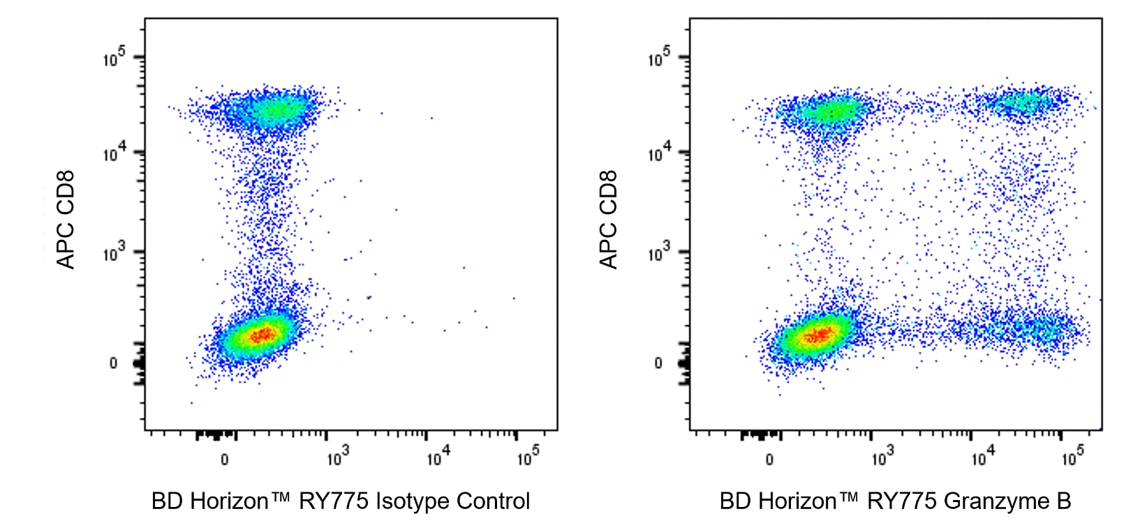 RY775 Mouse Anti-Human Granzyme B
