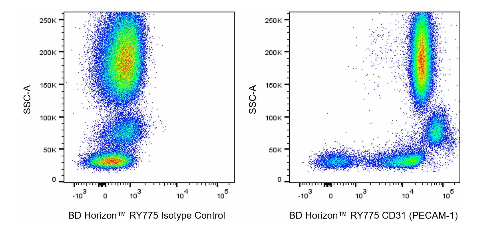 RY775 Mouse Anti-Human CD31 (PECAM-1)