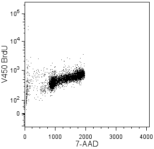 V450 Mouse anti-BrdU