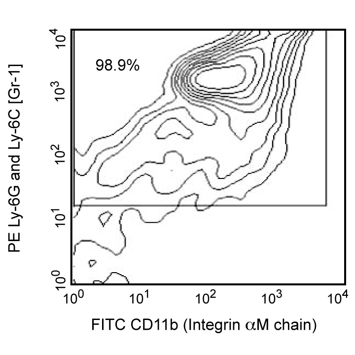 Anti-Mouse Ly-6G and Ly-6C Particles - DM