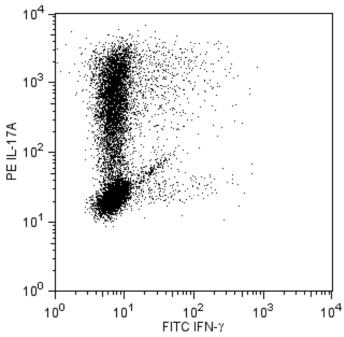 Mouse Th1/Th17 Phenotyping Kit