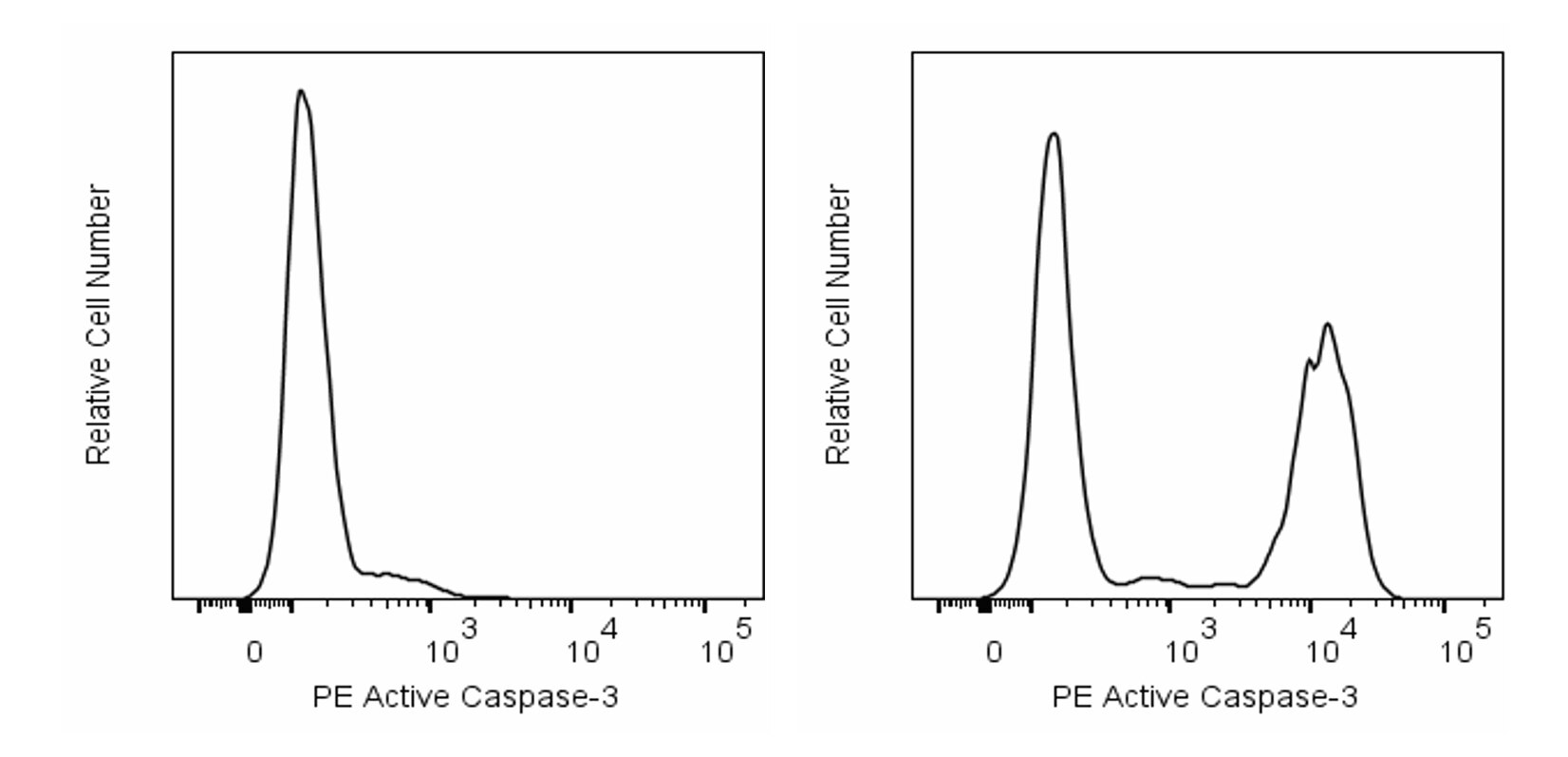 PE Active Caspase-3 Apoptosis Kit