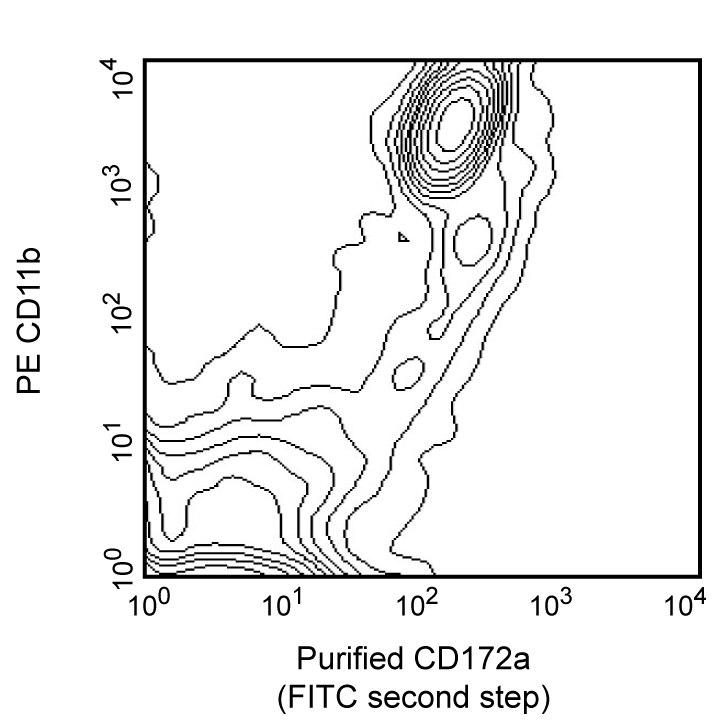 Purified Rat Anti-Mouse CD172a