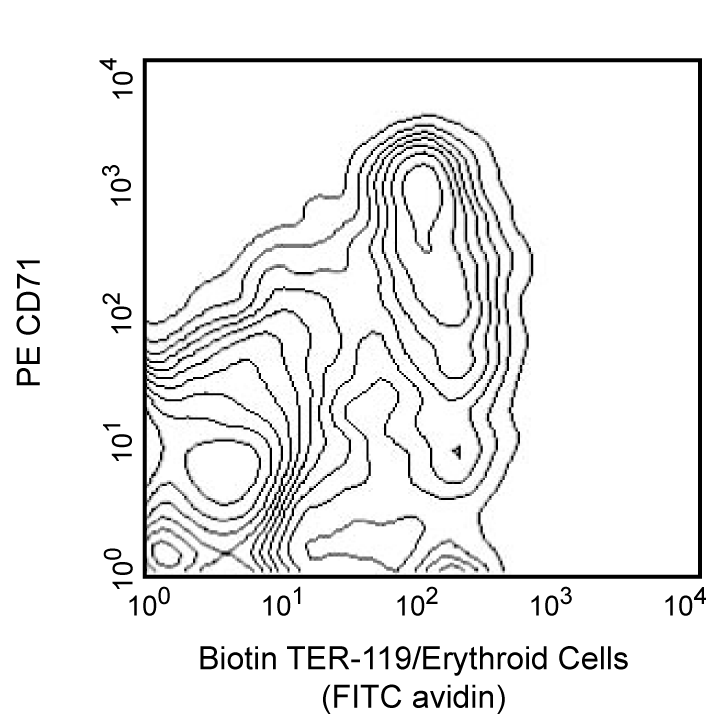 PE Rat Anti-Mouse CD71