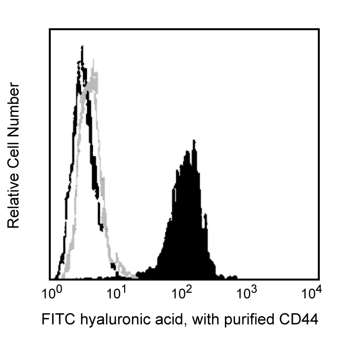 Purified NA/LE Rat Anti-Mouse CD44