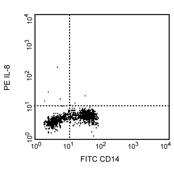 Purified Mouse Anti-Human IL-8