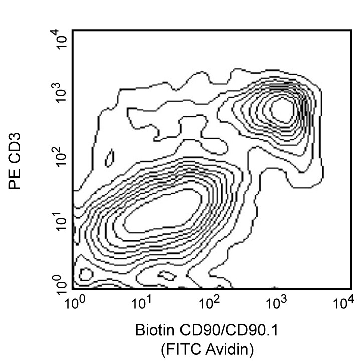 Biotin Mouse Anti-Rat CD90/Mouse CD90.1