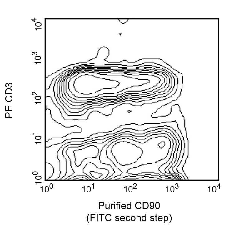 Purified Mouse Anti-Rat CD90/Mouse CD90.1