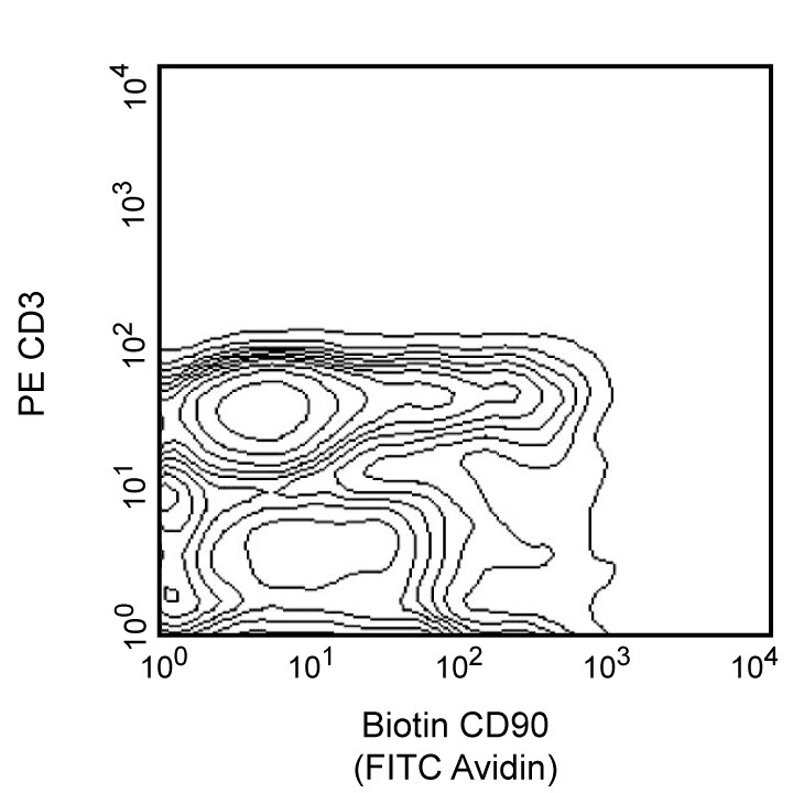 Biotin Mouse Anti-Rat CD90/Mouse CD90.1