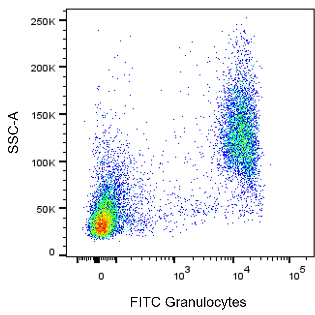 FITC Mouse Anti-Rat Granulocytes