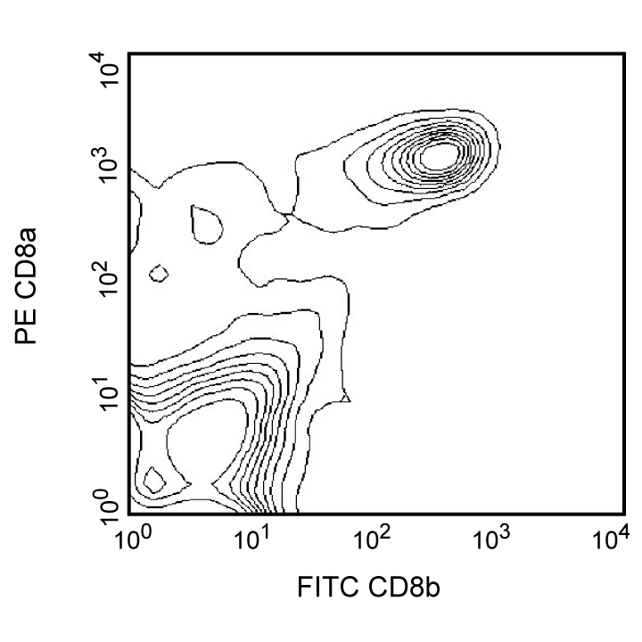 FITC Mouse Anti-Rat CD8b