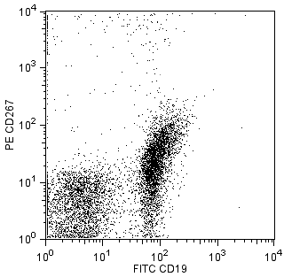 PE Rat anti-Mouse CD267 (TACI)