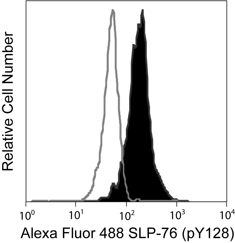 Alexa Fluor® 488 Mouse anti-SLP-76 (pY128)