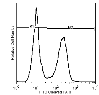 FITC Mouse anti-Cleaved PARP (Asp214)