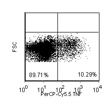 PerCP-Cy™5 .5 Rat Anti-Mouse TNF